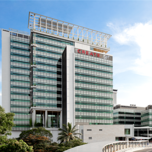 Our Programs - Global MIT