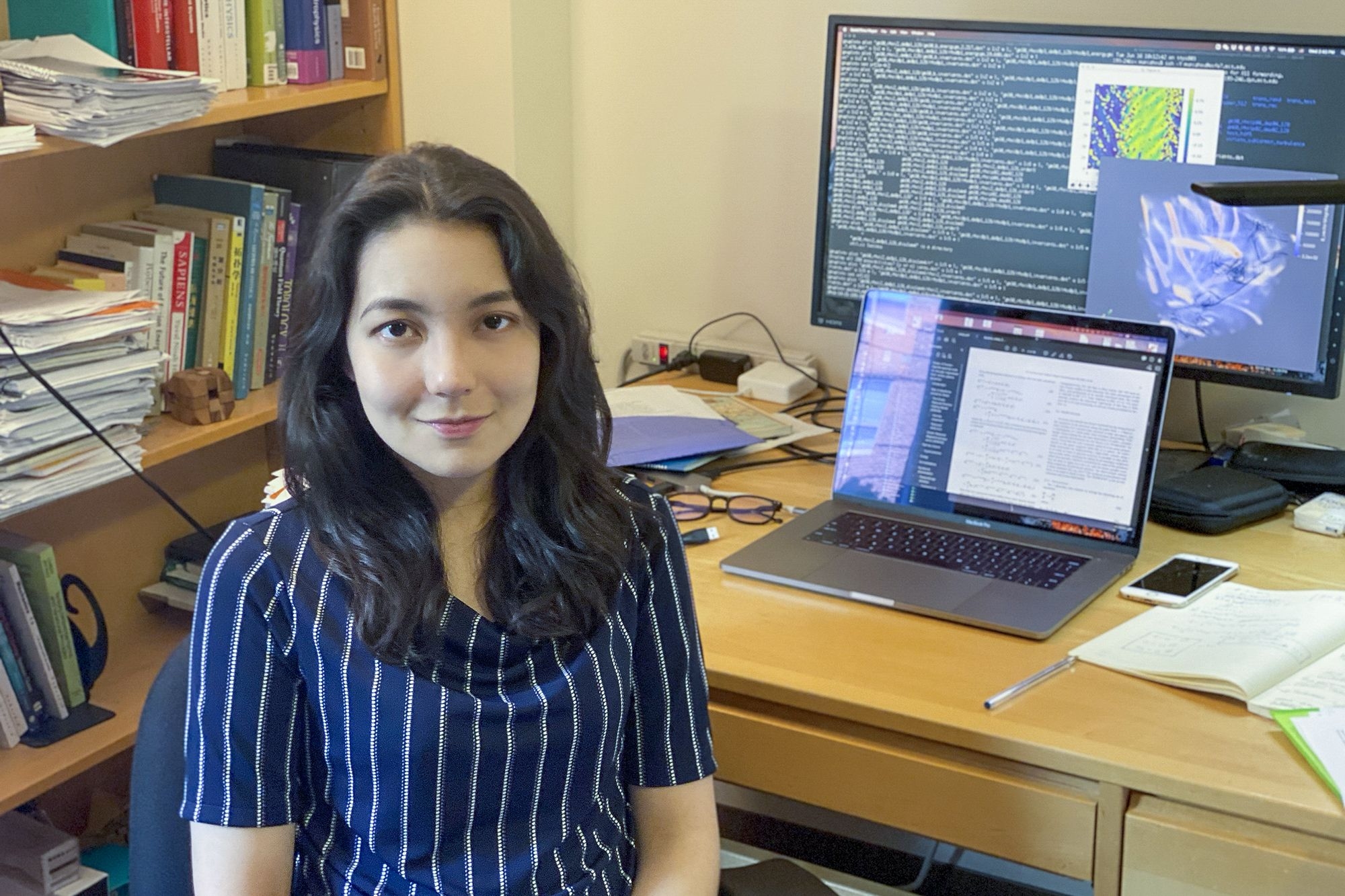 How to grow a cosmic magnetic field - Global MIT