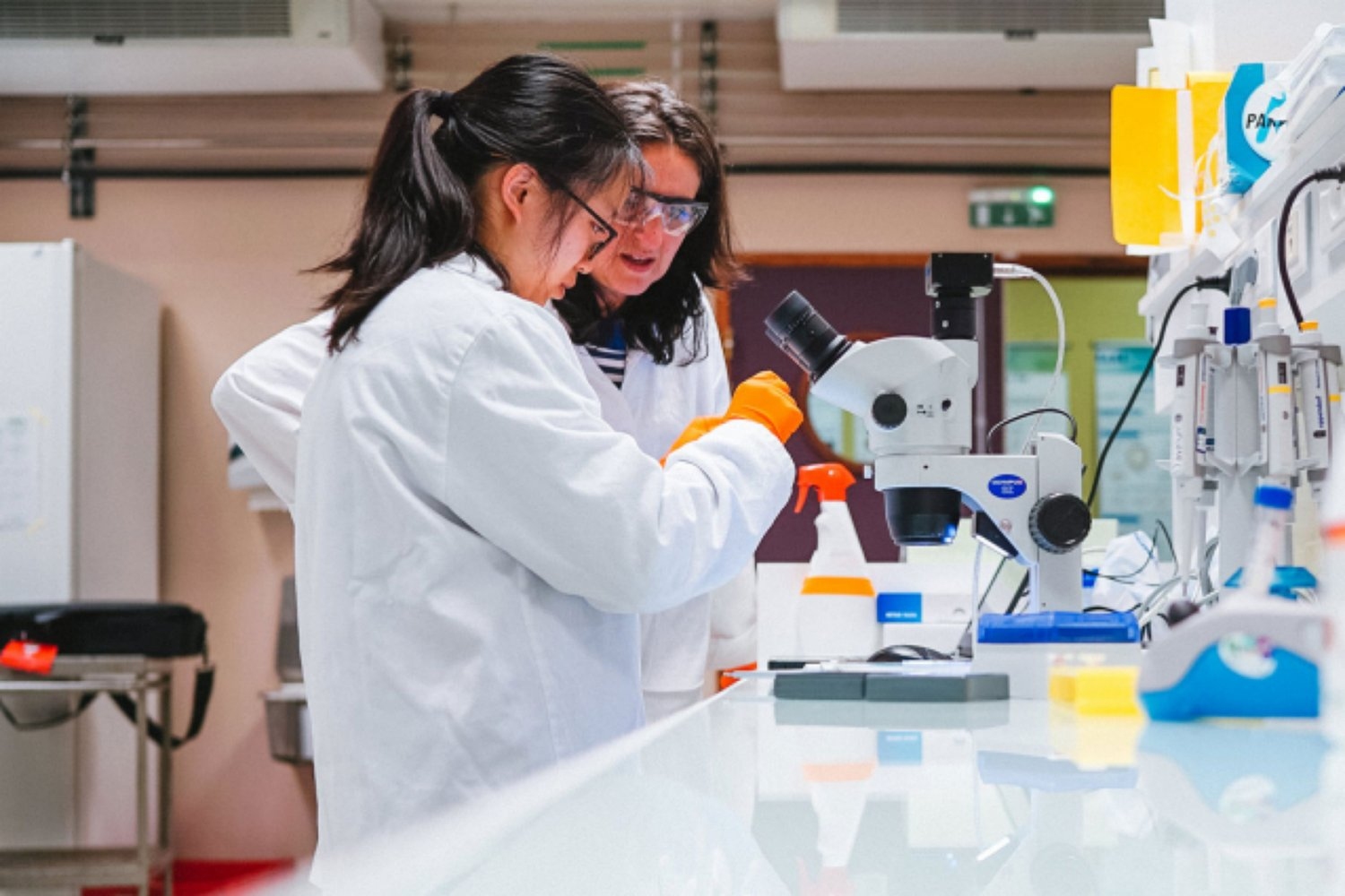 MIT Global Seed Funds catalyze research in over 20 countries - Global MIT